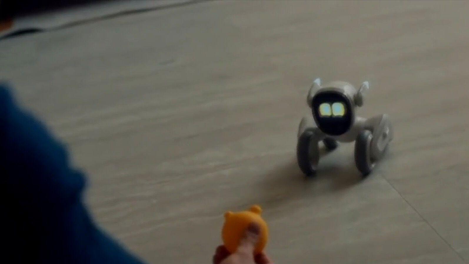 Loona, la mascota robot más inteligente del mundo