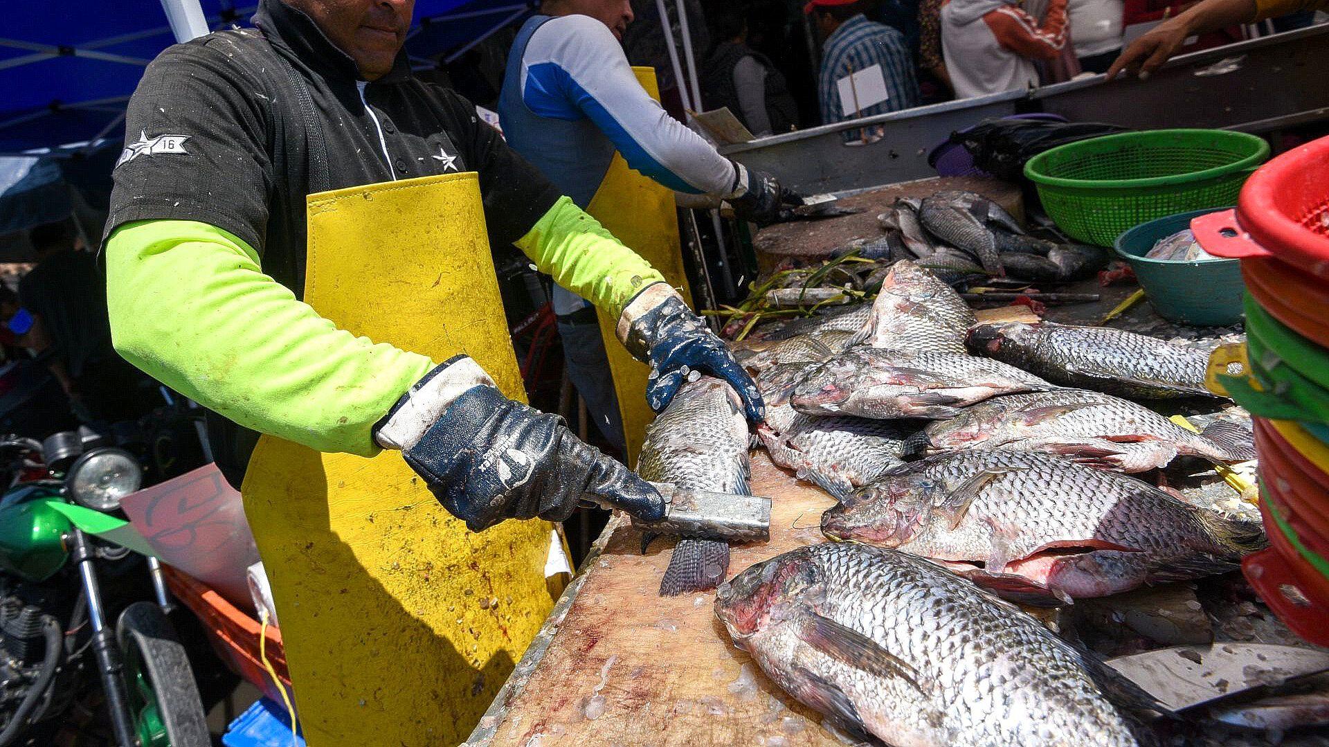 Así Es el Trabajo de un Vendedor de Pescado en Semana Santa | N+