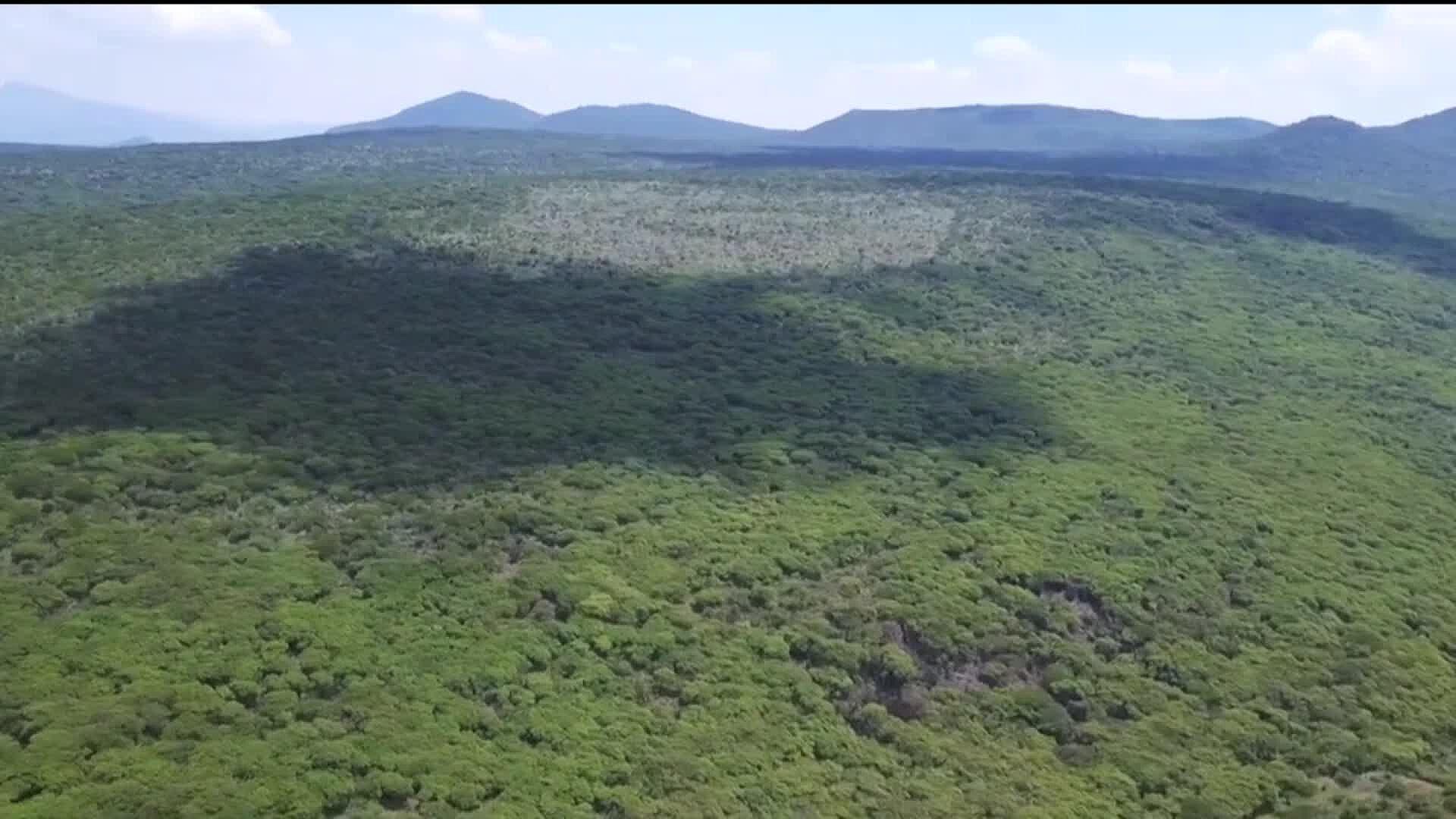 La Peña Colorada como Área Natural Protegida Ayudará en el Tema del ...