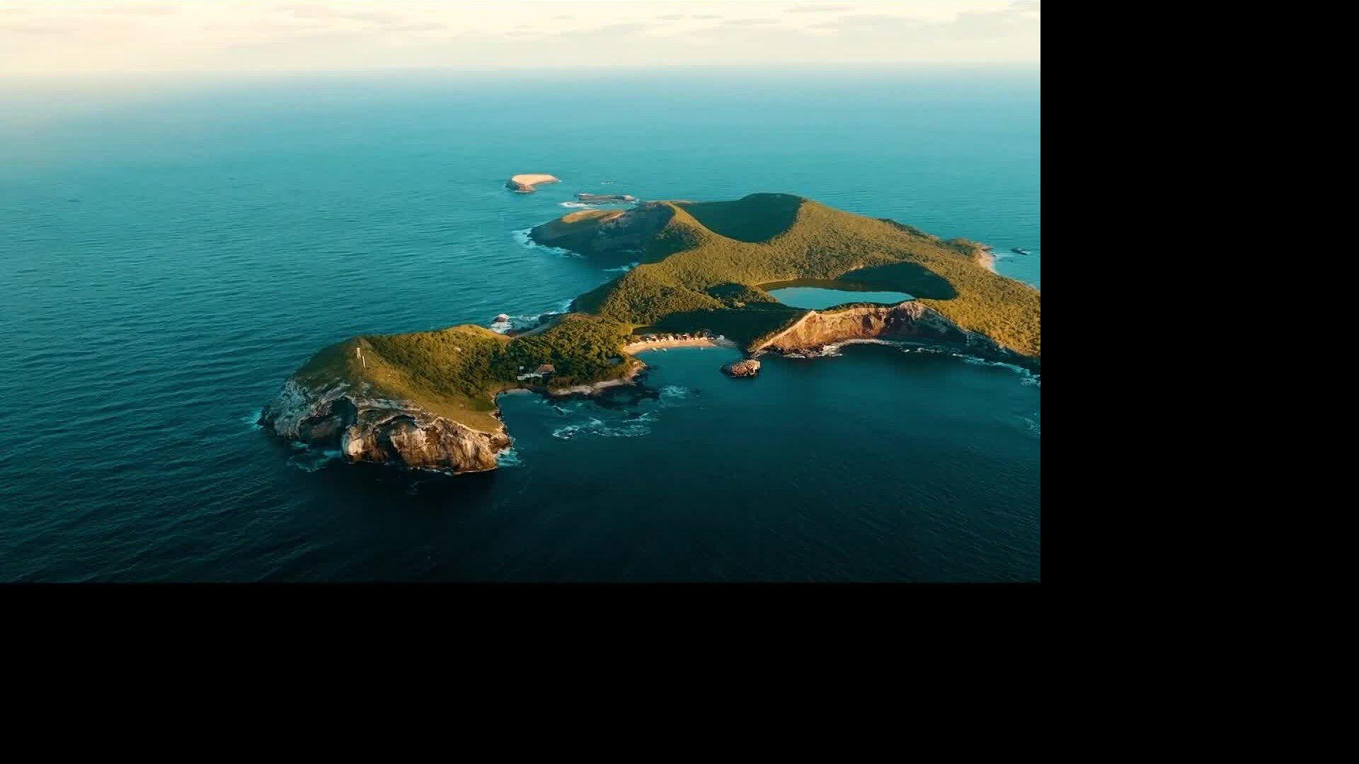 La Importancia de las Islas para la Biodiversidad | 1.5° Para Salvar al ...