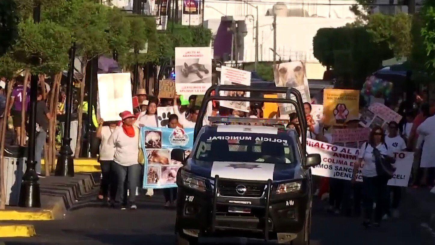 Colima: Marcha Contra el Maltrato Animal | N+