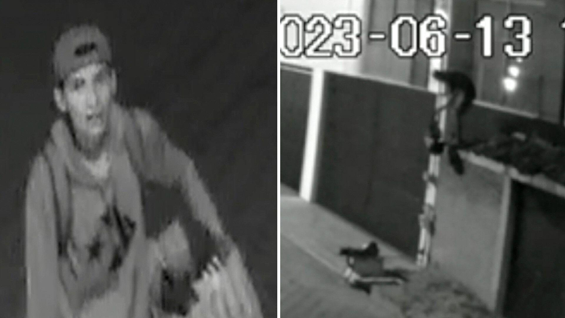 Exhiben Rostro de Ladrón que se Mete a Robar a las Casas | N+