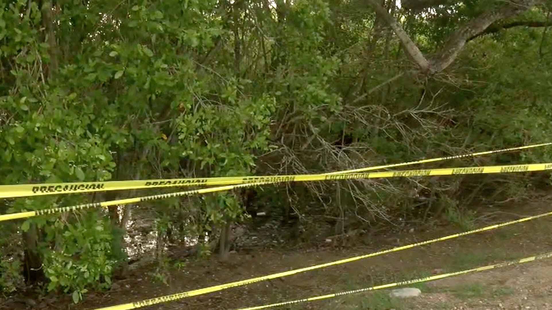 Delimitan Zonas de Riesgo por Cocodrilos en Laguna del Carpintero | N+