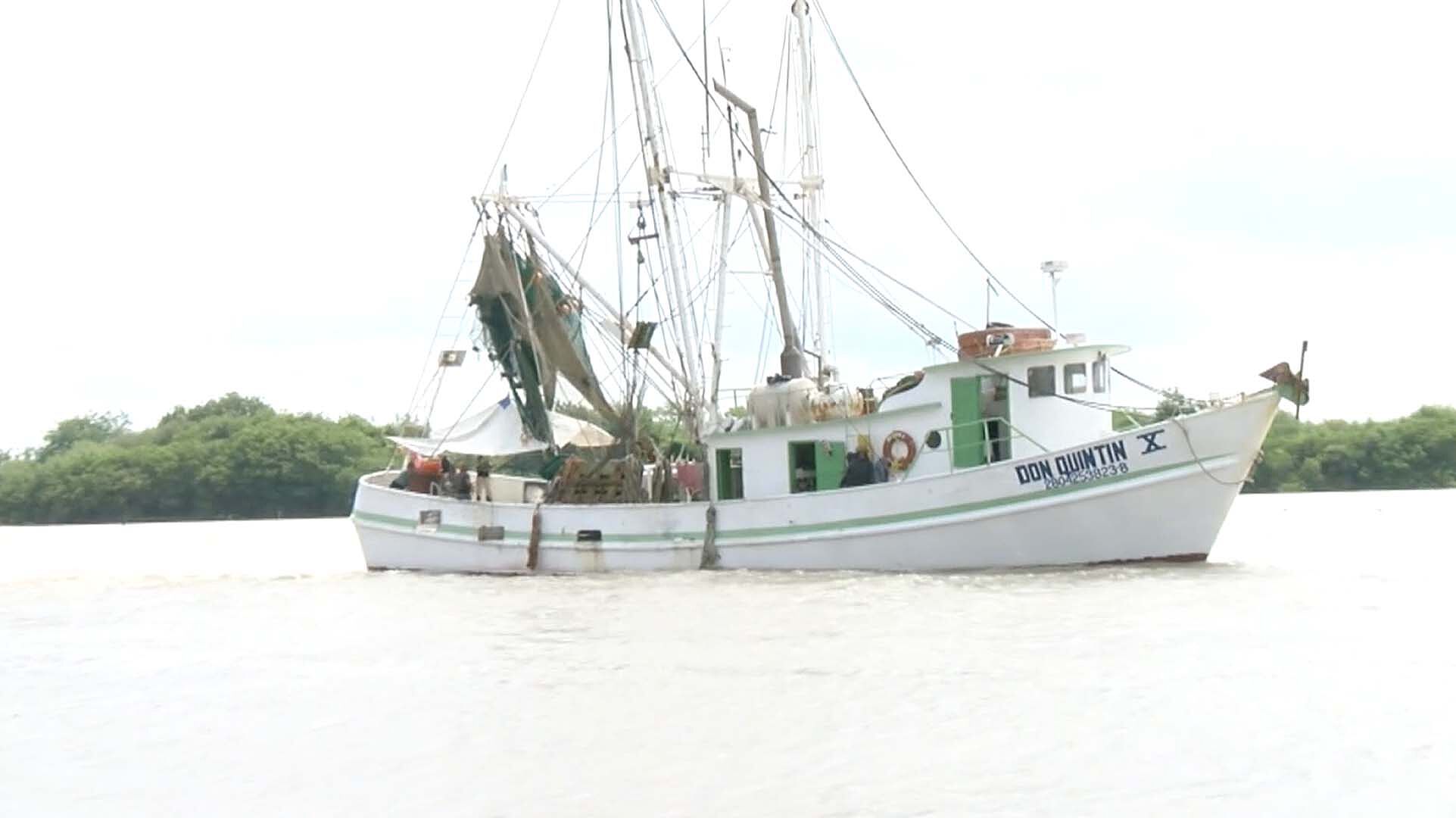 Por Iniciar Pesca de Camarón en el Golfo de México: Conapesca | N+ ...